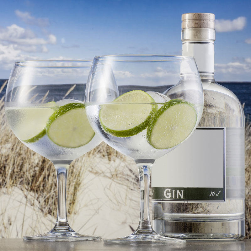 Schott Zwiesel Bar Special Gin and Tonic / Copa Glass - Set of 4 ...